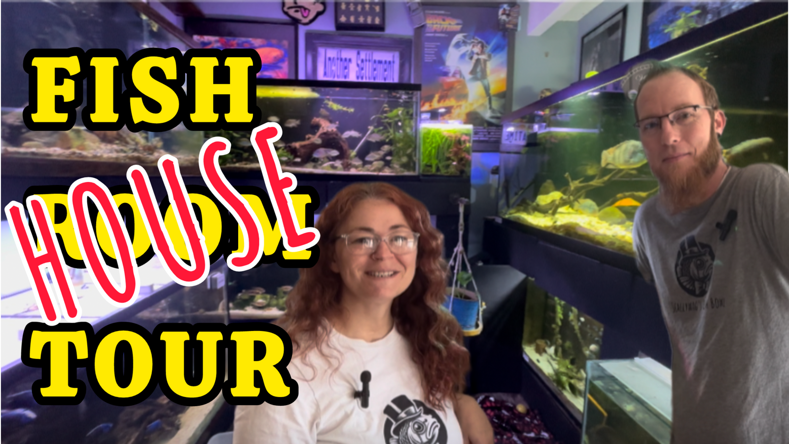 Scallywag’s Fish Bowl | Aquarium Shrimp, Fish & Plants – Scallywag's ...